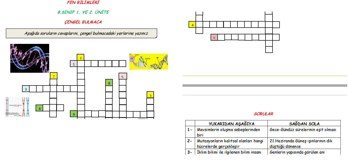 İNDİRİLEBİLİR BULMACALAR | FENUS BİLİM