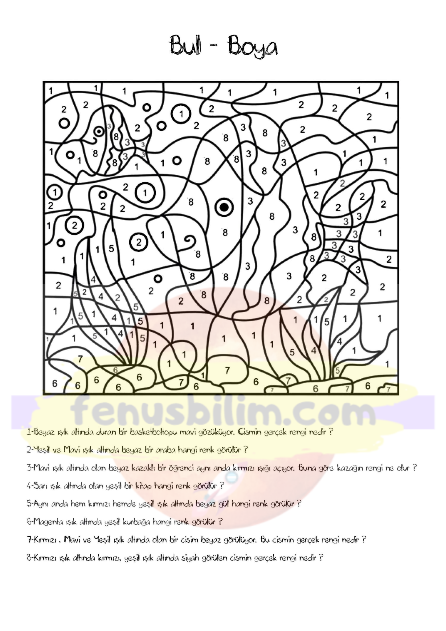 FENUSBİLİM 7.SINIF 5.ÜNİTE KODLA BOYA ETKİNLİKLERİ | FENUS BİLİM